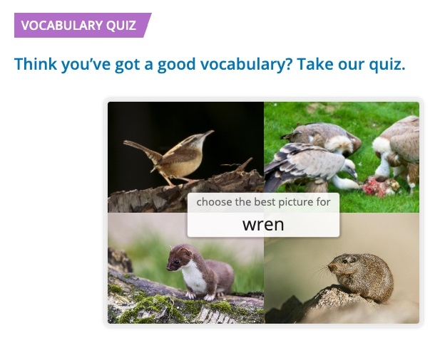 Introducing Vocabulary.com's New Dictionary Design! : Announcements ...